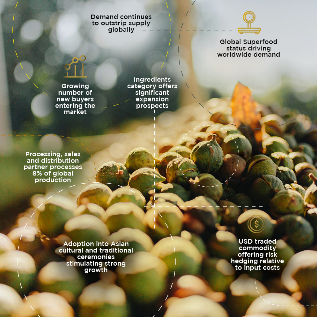 Invest in Kubu Group | Gold Standard in Macadamia Orchards